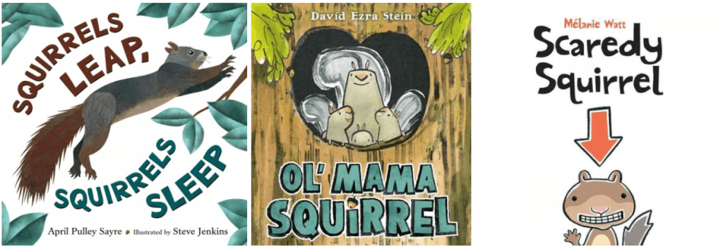 Preschool Storytime: Squirrels! – Storytime with Ms. Emily Library