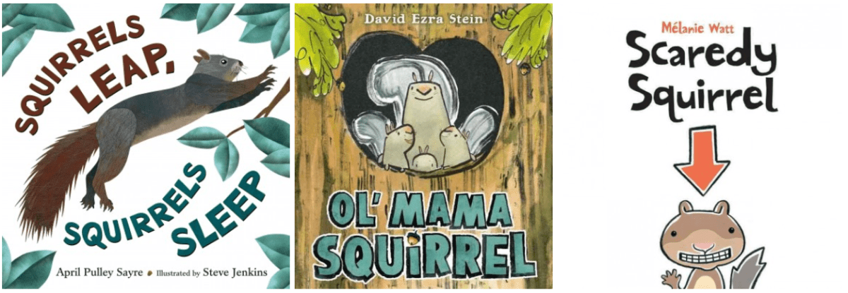Preschool Storytime: Squirrels! – Storytime with Ms. Emily Library