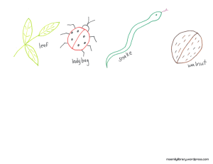 Preschool Storytime: Green – Storytime with Ms. Emily Library