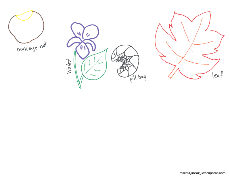 Preschool Storytime: Green – Storytime with Ms. Emily Library