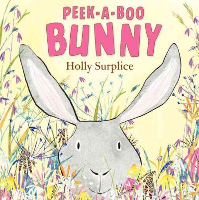 Preschool Storytime: Hide & Seek – Storytime with Ms. Emily Library