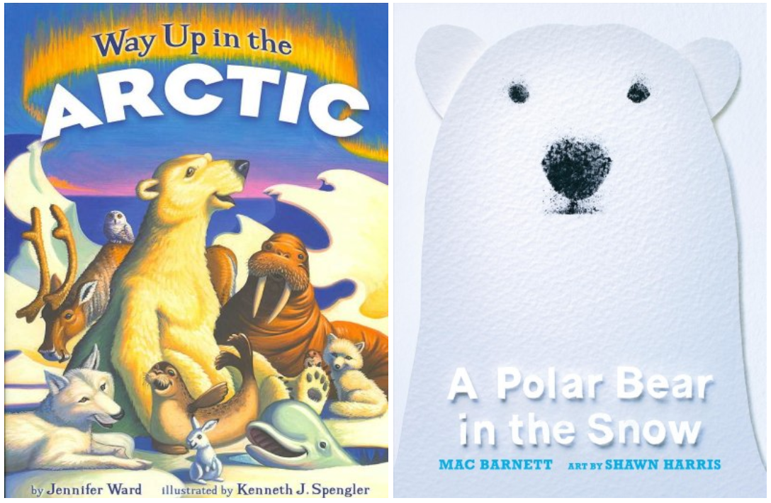 Family Storytime: Arctic Animals – Storytime with Ms. Emily Library