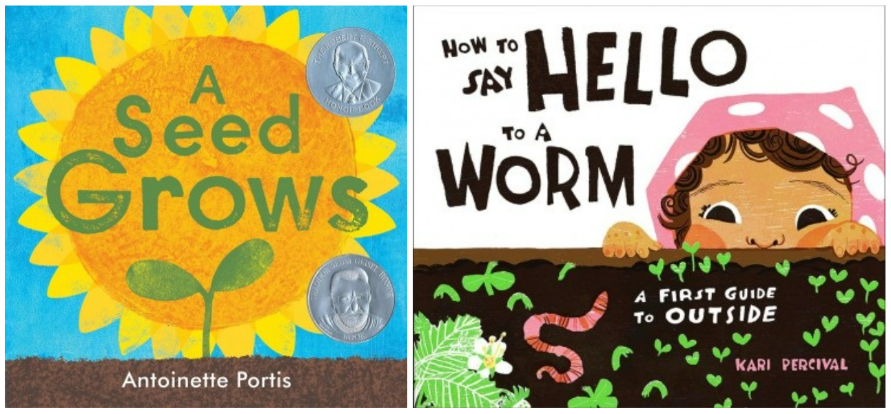 Storytime: The Seeds of Spring – Storytime with Ms. Emily Library