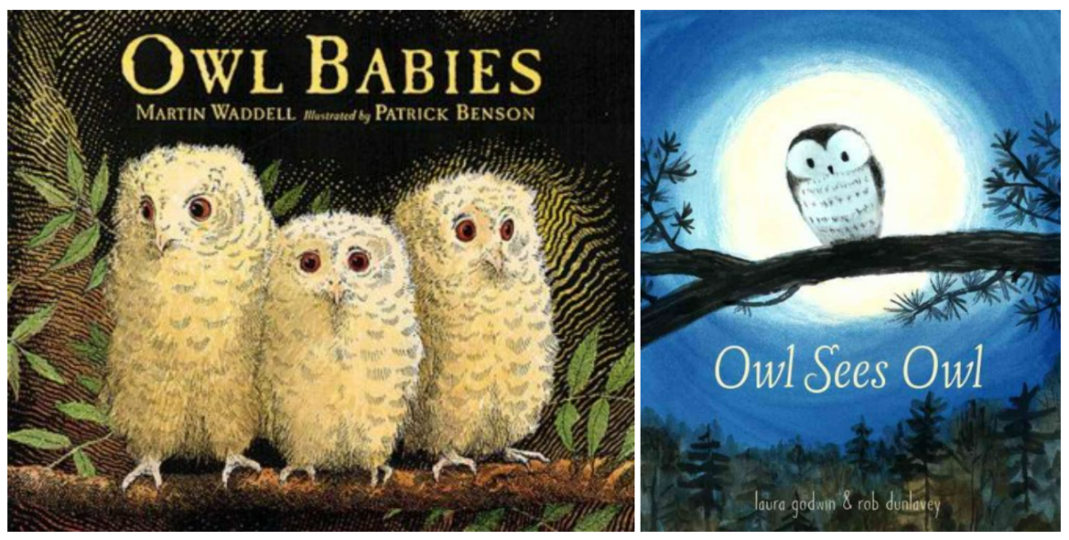 Storytime: Owls – Storytime with Ms. Emily Library
