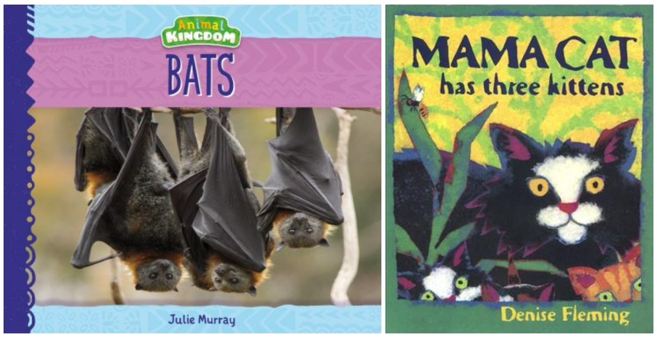 bats – Storytime with Ms. Emily Library