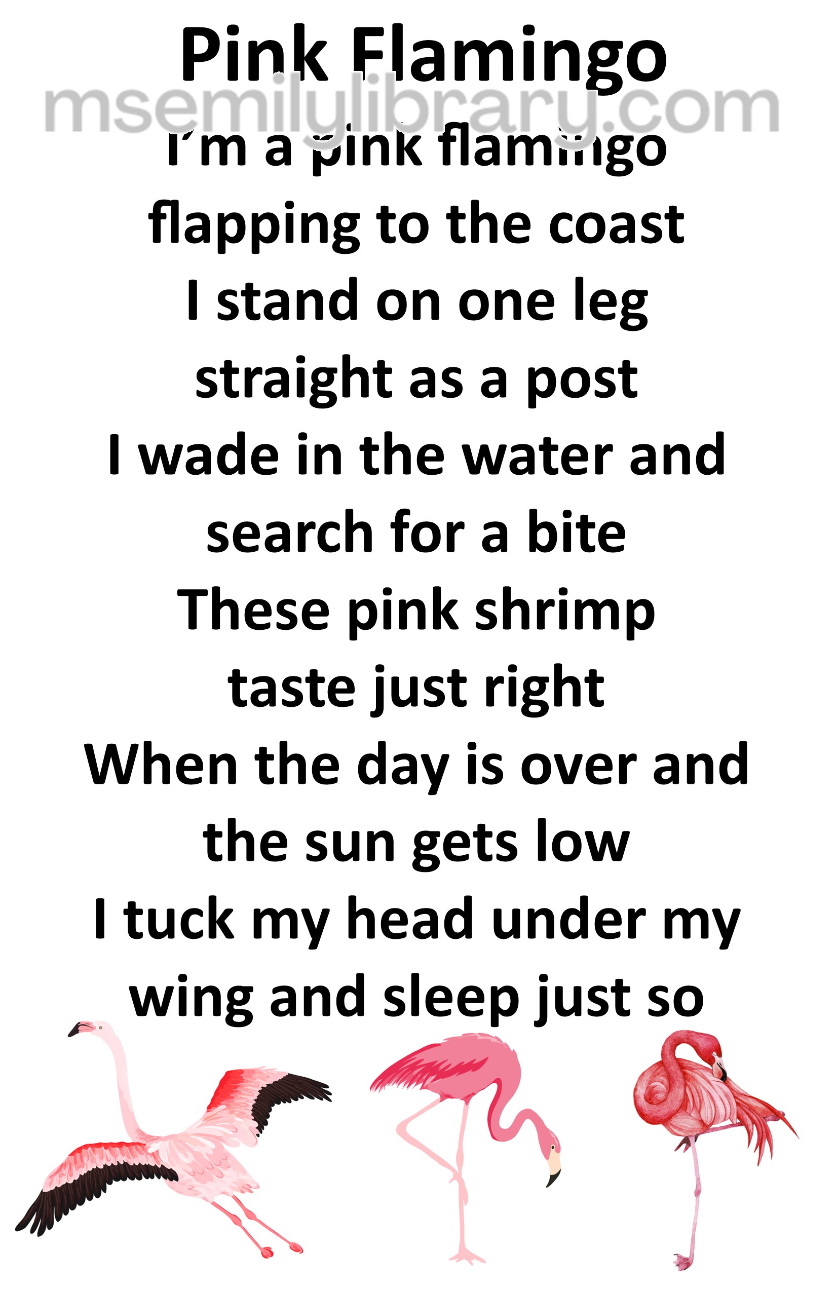 Storytime: Color Wheel – Pink – Storytime with Ms. Emily Library