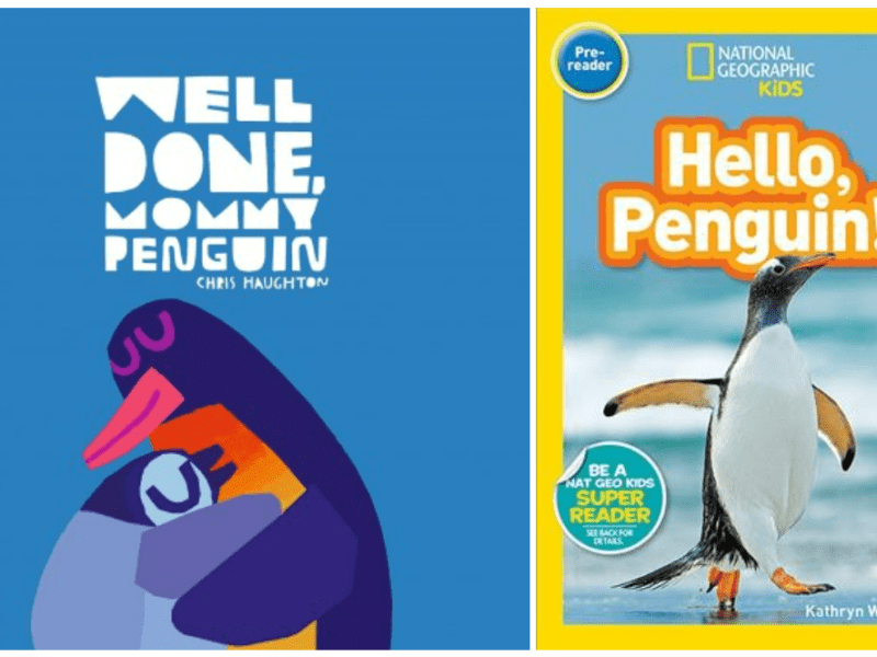 Blog – Storytime with Ms. Emily Library