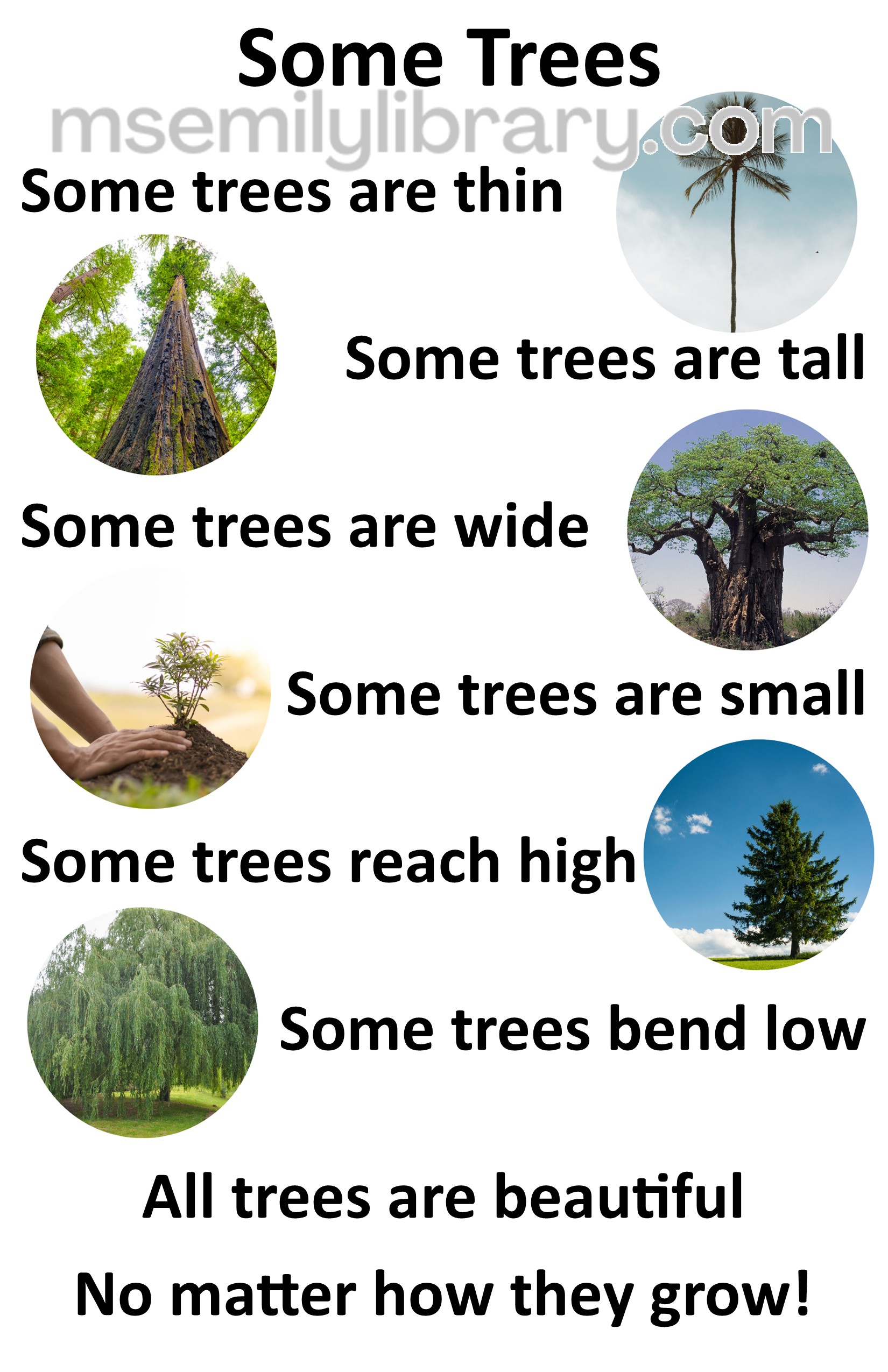 Storytime: Trees – Storytime with Ms. Emily Library