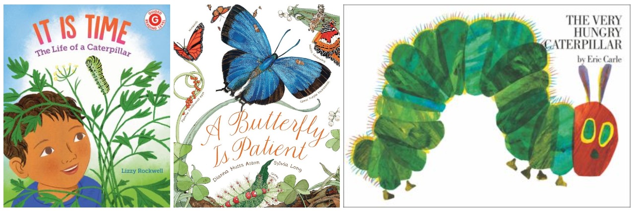 Storytime: Butterflies – Storytime with Ms. Emily Library